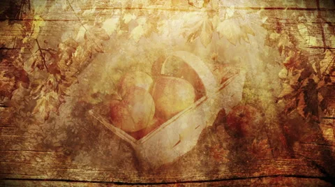 Autumn foliage background loop animation | Stock Video | Pond5