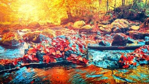 By The Stream Stock Videos – Royalty-Free HD & 4K Videos | Pond5