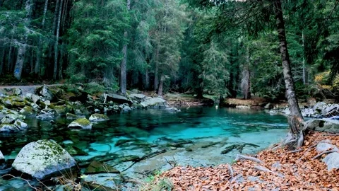 Autumn Landscape on Turquoise Lake Amola... | Stock Video | Pond5