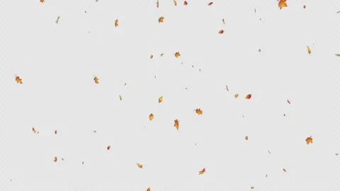 Autumn Leaf Particles. Autumn Leaves. Lo... | Stock Video | Pond5