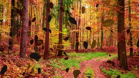 Autumn Leaves 4 Loops Overlay AEP ~ After Effects #283787538