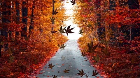 Autumn Leaves 5 Loops Overlay AEP ~ After Effects #283792733