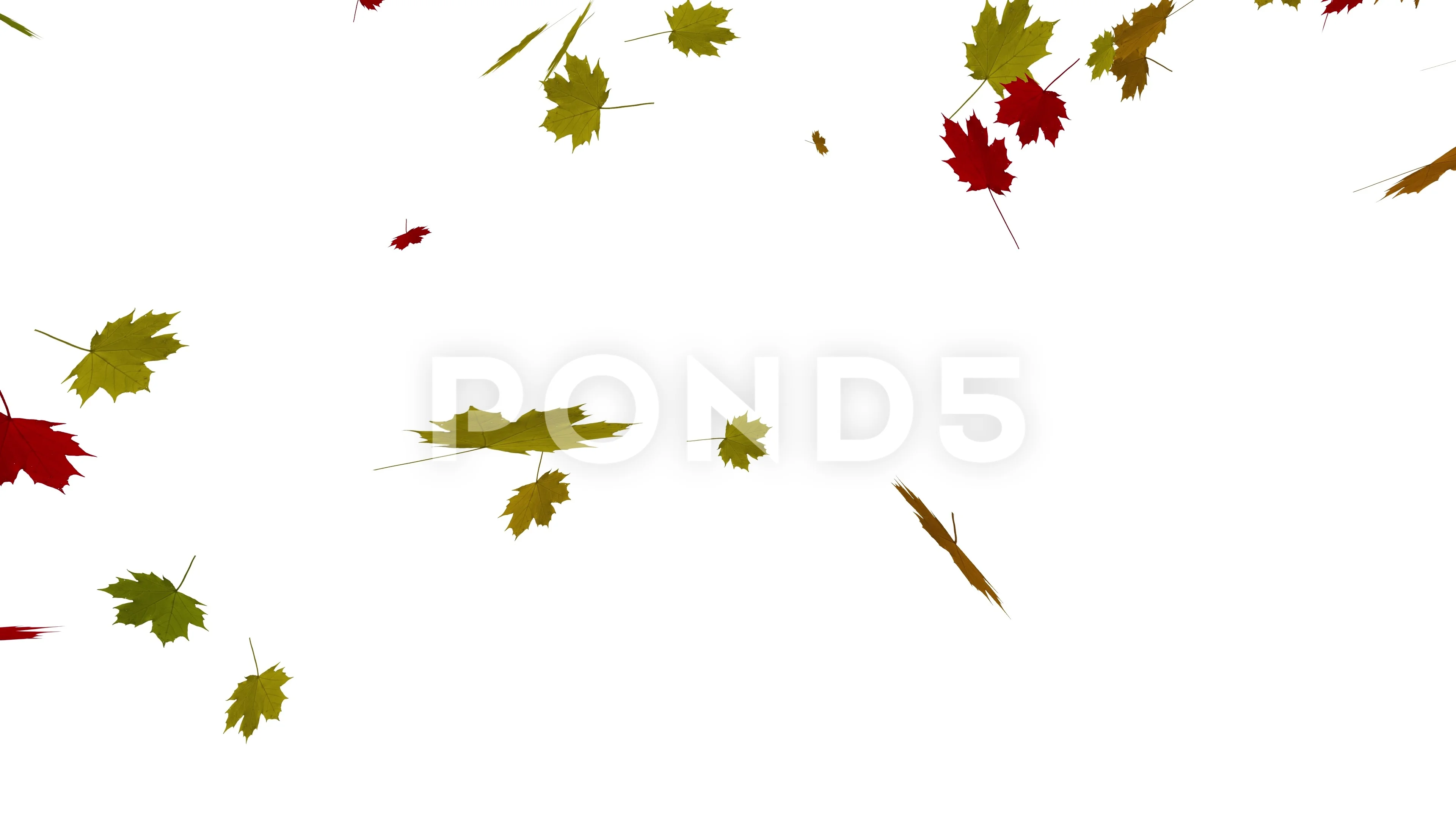 Autumn Leaves Blowing Clipart