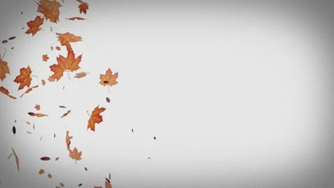Autumn leaves falling animation with tra... | Stock Video | Pond5