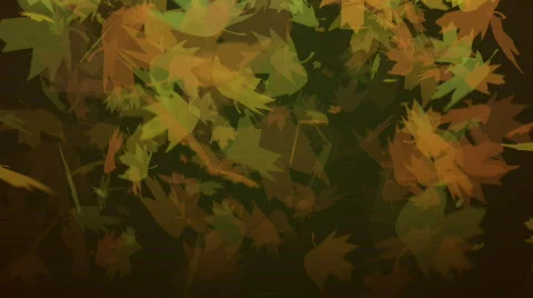 Autumn Leaves Falling | Stock Video | Pond5