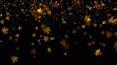Autumn leaves falling motion graphics wi... | Stock Video | Pond5