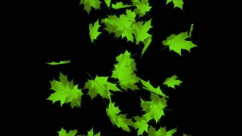 Falling Leaves Animation Alpha Stock Videos – Royalty-Free HD & 4K Videos