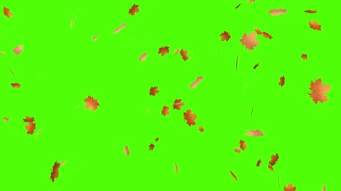 Autumn Leaves Falling Top to Bottom 4K A... | Stock Video | Pond5