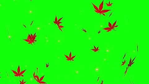 Autumn maple leaves particle loop animat... | Stock Video | Pond5