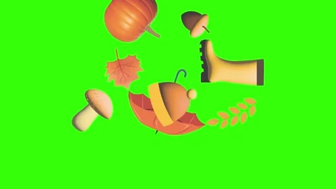 Autumn object animation on green screen ... | Stock Video | Pond5