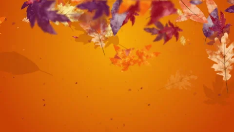 Falling Leaves Animation Stock Footage ~ Royalty Free Stock Videos | Pond5