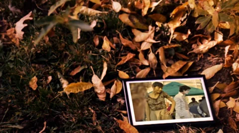 Autumn - Photos in the natural environment ~ After Effects #33294231