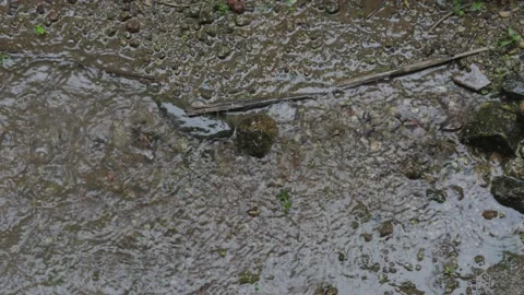 Autumn rain water drops falling into big... | Stock Video | Pond5