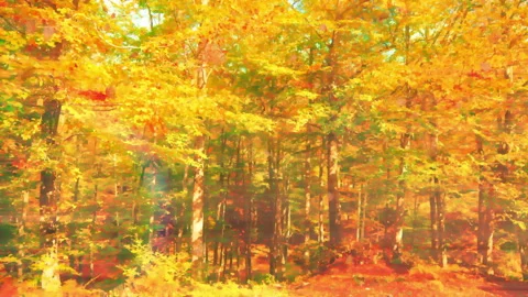 Autumn Trees Anime Background Animation | Stock Video | Pond5