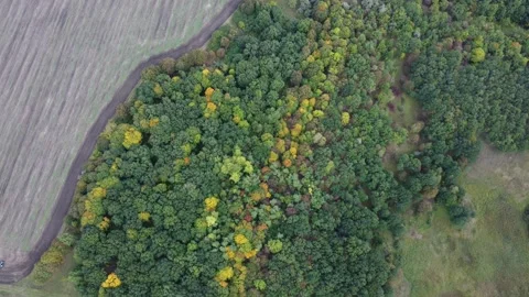 Woodz Wallpaper Stock Videos – Royalty-Free HD & 4K Videos | Pond5