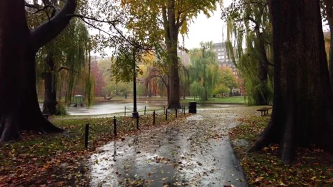 Autumn's Beauty 4K Fall Rain & City | Stock Video | Pond5