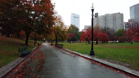 Autumn's Beauty 4K Fall Rain & City | Stock Video | Pond5