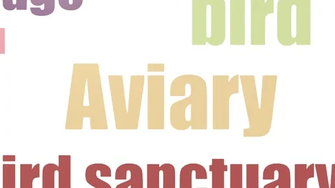 Aviary Word Cloud Animated On White Back... | Stock Video | Pond5