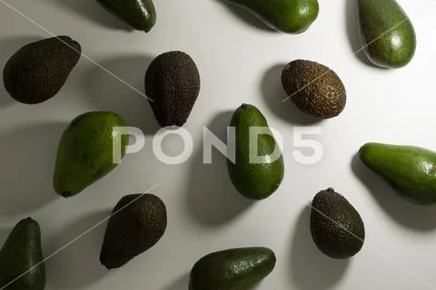 Avocado Fruit Photo Pattern. Hass, Pinkerton, Puebla varieties. Top ...