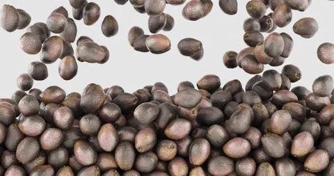 Food Texture Screen Stock Videos – Royalty-Free HD & 4K Videos | Page 2