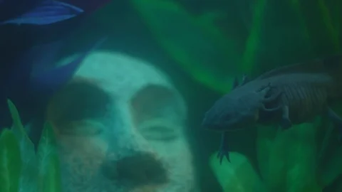 Axolotl slowly descending to floor of aq... | Stock Video | Pond5