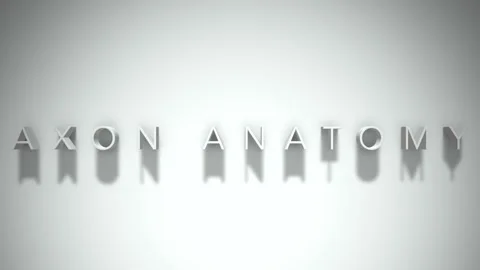 axon anatomy 3D title animation white te... | Stock Video | Pond5
