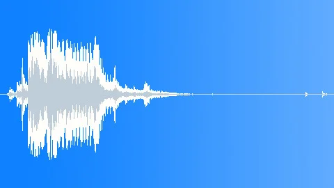 Sound Effect: AXShot Big Crank Toy Gun Shot 07.wav ~ #302198483