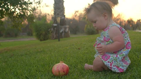 Exotic Baby Stock Videos – Royalty-Free HD & 4K Videos