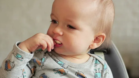 Baby Boy Sandwiches Stock Videos – Royalty-Free HD & 4K Videos | Pond5