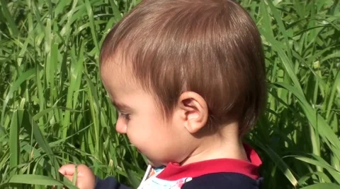 Baby chewing blade of grass 2, Crystal c... | Stock Video | Pond5