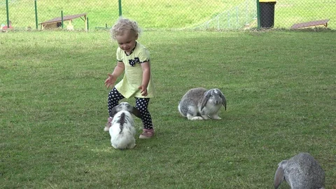 baby girl play with rabbit in zoo are at... | Stock Video | Pond5