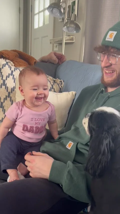 Girls Making Out With Dogs Stock Videos – Royalty-Free HD & 4K Videos