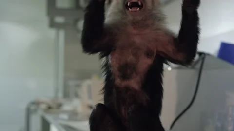 Panick Stock Footage ~ Royalty Free Stock Videos | Pond5