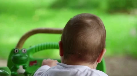 Frog Playing Y Stock Videos – Royalty-Free HD & 4K Videos