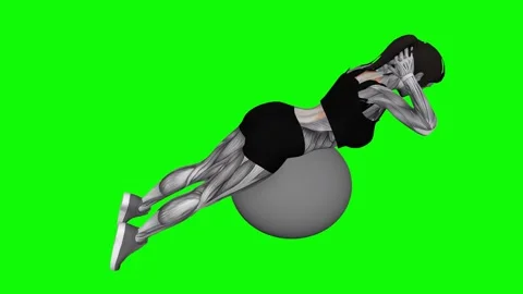 Mu Back Stock Videos – Royalty-Free HD & 4K Videos