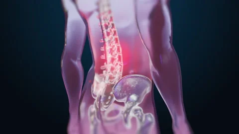 Back Pain Animation Stock Footage ~ Royalty Free Stock Videos | Pond5