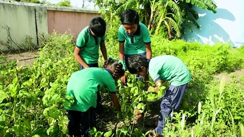 Indian Kids Activity Stock Videos – Royalty-Free HD & 4K Videos | Pond5