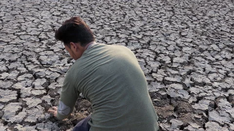 Indian Backshot Stock Footage ~ Royalty Free Stock Videos | Pond5