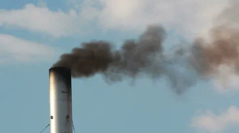 Greenhouse Smoke Stock Videos – Royalty-Free HD & 4K Videos | Pond5