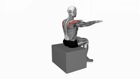 Squeeze Dancing Videos Stock Videos – Royalty-Free HD & 4K Videos | Pond5