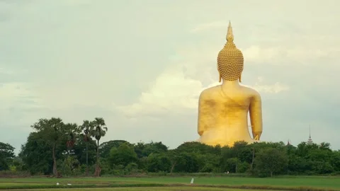 Big Back Immages Stock Videos – Royalty-Free HD & 4K Videos | Pond5