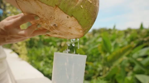 Back View of Coconut Water Dripping from... | Stock Video | Pond5