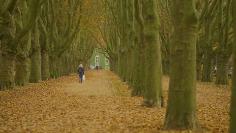 Back View Of A Distant Woman Slowly Walk... | Stock Video | Pond5