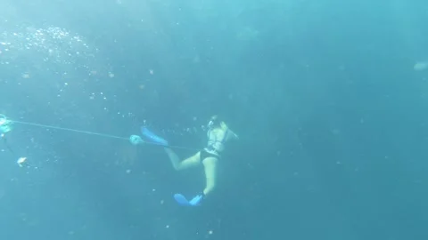 back view of a female free diver wearing... | Stock Video | Pond5