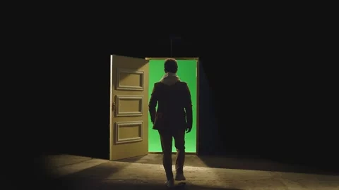 Screen Door Faces Stock Videos – Royalty-Free HD & 4K Videos