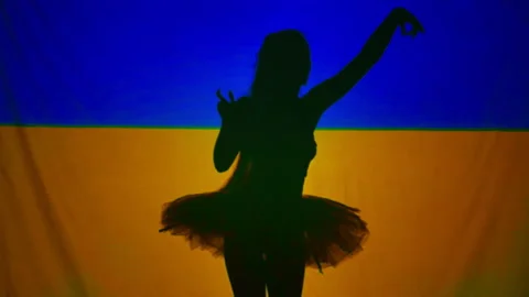 Woman Military Silhouette Stock Videos – Royalty-Free HD & 4K Videos ...