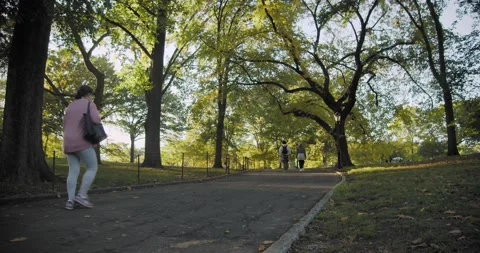 Back View of Two a Woman Walking along a... | Stock Video | Pond5
