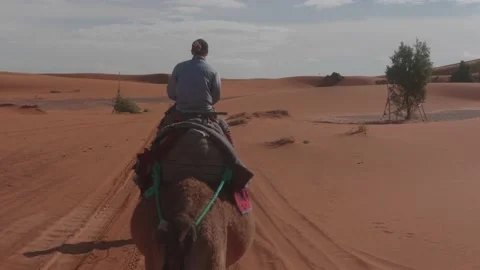 Back view of woman riding camel through ... | Stock Video | Pond5