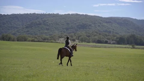 Back view of a woman riding a horse in a... | Stock Video | Pond5