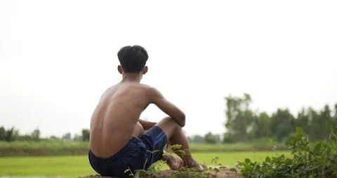 Back Brower Stock Videos – Royalty-Free HD & 4K Videos